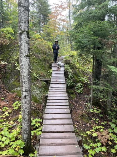 2023 Best Lake Trails in Copper Harbor Trail System | AllTrails
