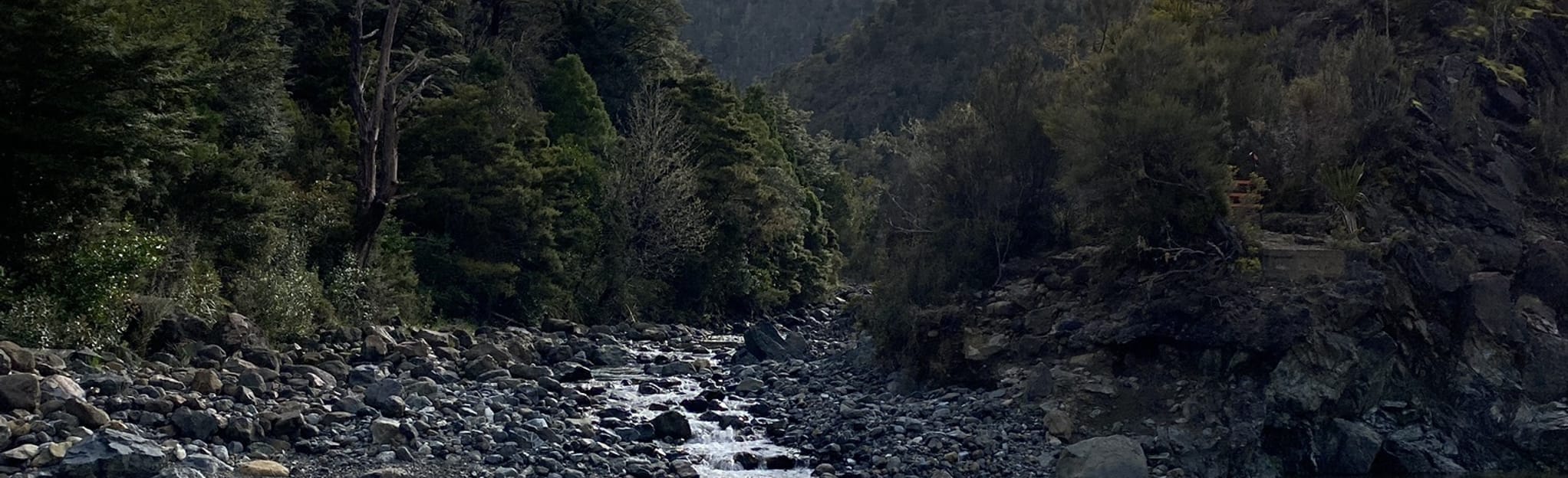 Whispering Falls Track, Nelson-Tasman, New Zealand - 23 Reviews, Map ...