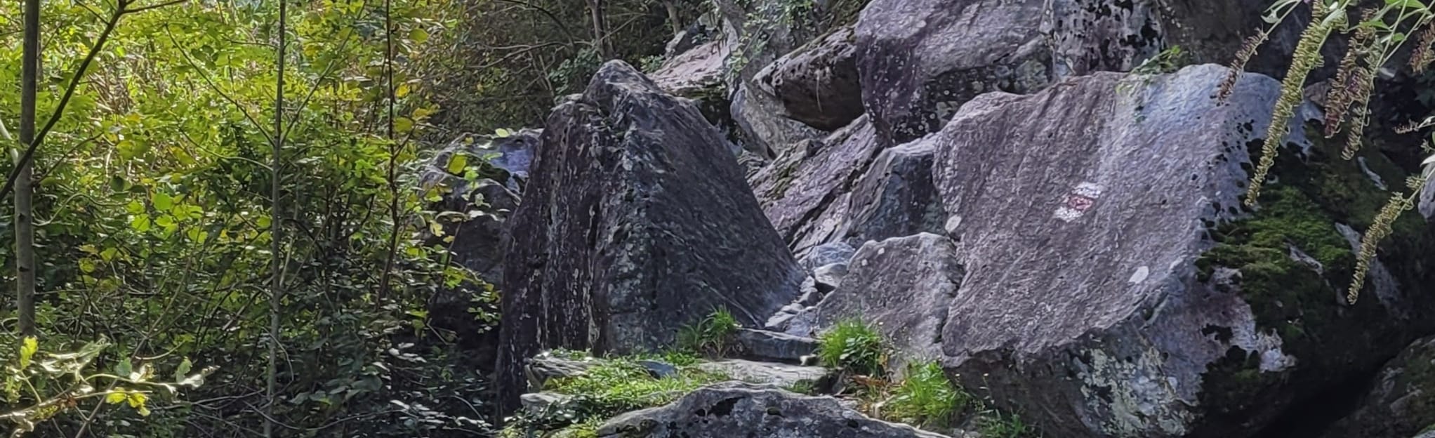 Ponte Brolla - Gordevio: 7 Reviews, Map - Ticino, Switzerland | AllTrails