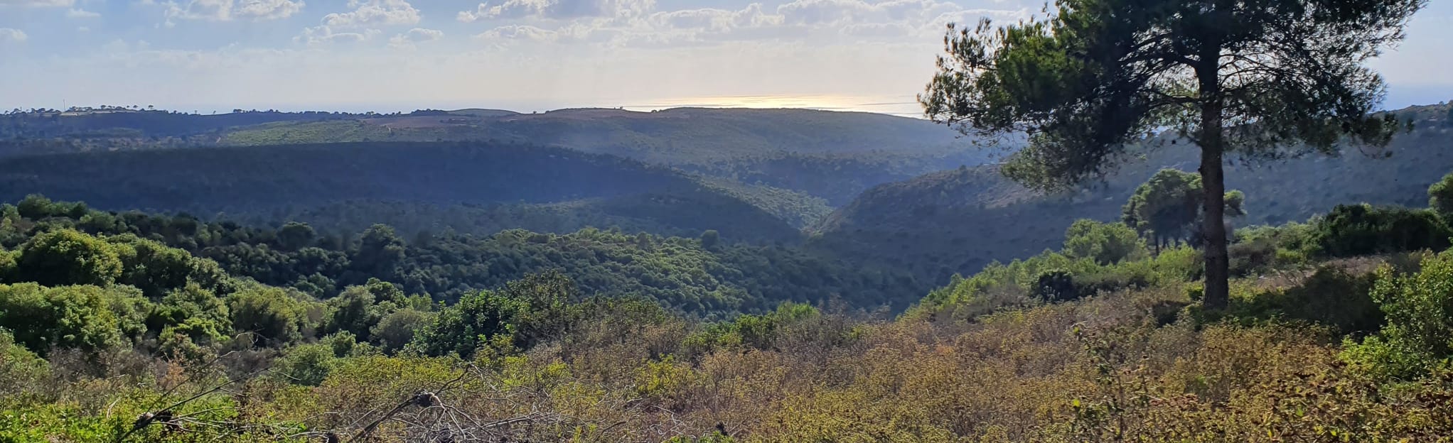Little Switzerland, Nahal Galim and Wadi Kelah: 276 foto's - Haifa ...