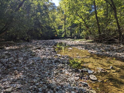 Best 10 Hikes and Trails in Clifty Falls State Park | AllTrails