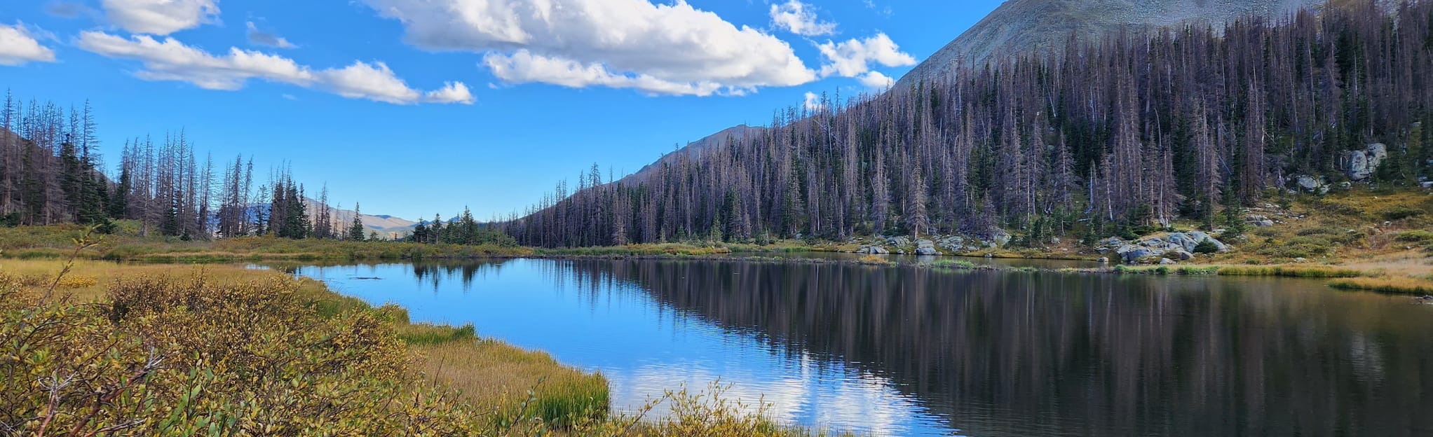 The Collegiate Loop - Colorado | AllTrails