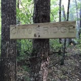Cato's Ridge, Massachusetts - 498 Reviews, Map | AllTrails