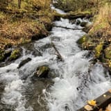 Resurrection Pass Trail, Alaska - 199 Reviews, Map | AllTrails