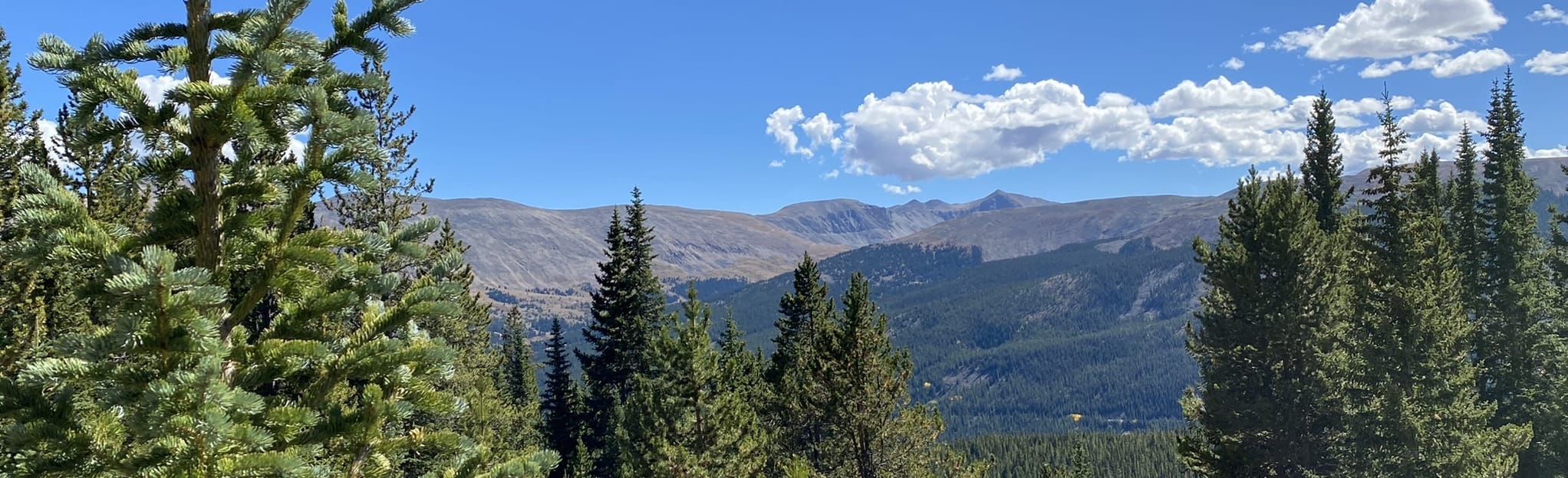 Sangree Froelicher Hut: 78 Reviews, Map - Colorado | AllTrails
