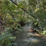 Boise Cascade Lake Loop, Idaho - 303 Reviews, Map | AllTrails