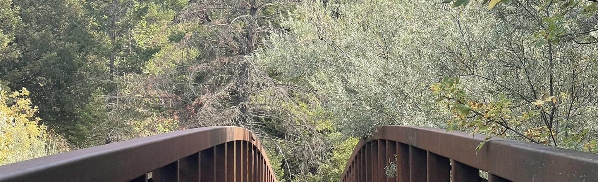 Applegate Lake, French Gulch and Payette Trail - Oregon | AllTrails