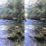 Greer Spring Trail, Missouri - 316 Reviews, Map | AllTrails