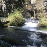 Greer Spring Trail, Missouri - 316 Reviews, Map | AllTrails