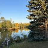 Rundle Park Riverside Trail, Alberta, Canada - 217 Reviews, Map | AllTrails