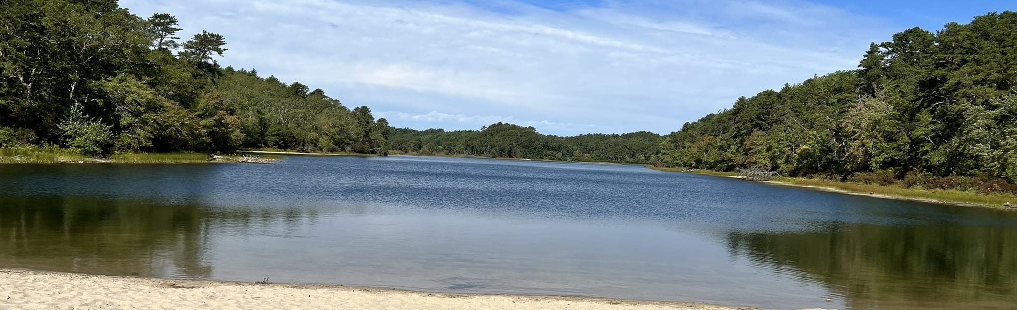 AllTrails | Little Cliff, Higgins, and Eel Pond Loop: 15 Reviews, Map ...