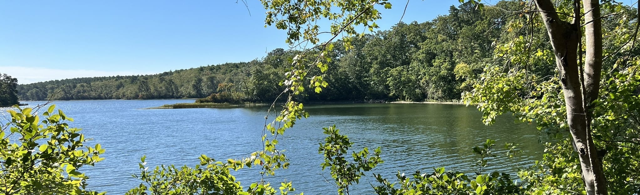 Little Cliff Pond Trail, Massachusetts - 497 Reviews, Map | AllTrails