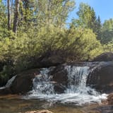 Cold Springs Nature Trail, California - 72 Reviews, Map | AllTrails