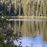 Summit Lake Trail, California - 587 Reviews, Map | AllTrails