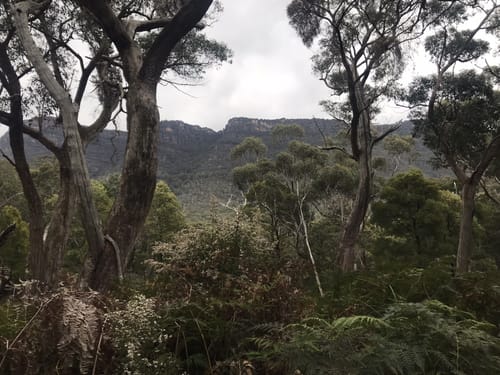 2023 Best Mountain Biking Trails in Grampians National Park (Gariwerd ...