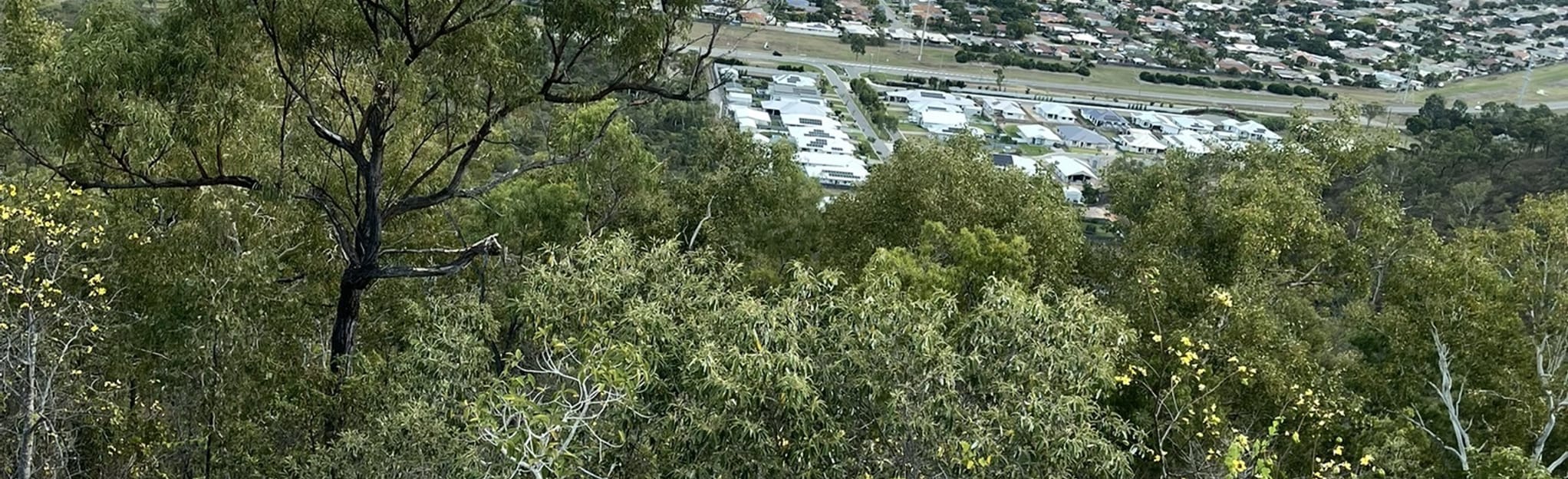 Mount Louisa Crest Track - Queensland, Australia | AllTrails