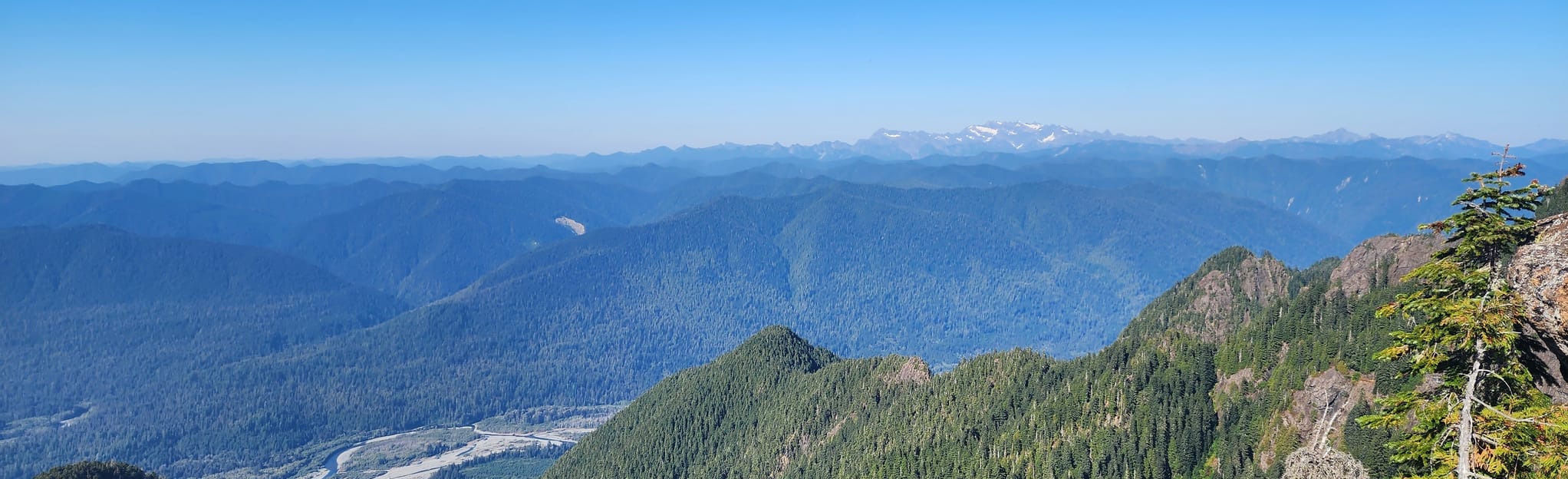 Colonel Bob Trail, Washington - 126 Reviews, Map | AllTrails