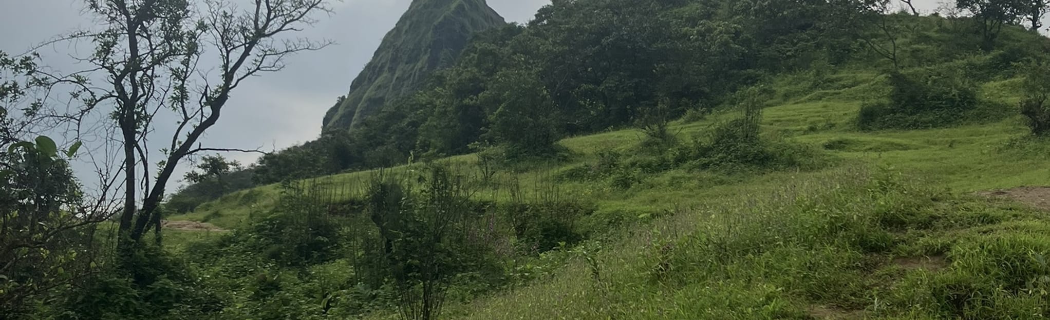 Korigad Fort, Maharashtra, India - 21 Reviews, Map | AllTrails