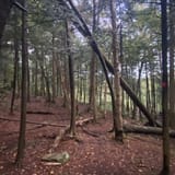 Inman Pond Trail, New York - 269 Reviews, Map | AllTrails