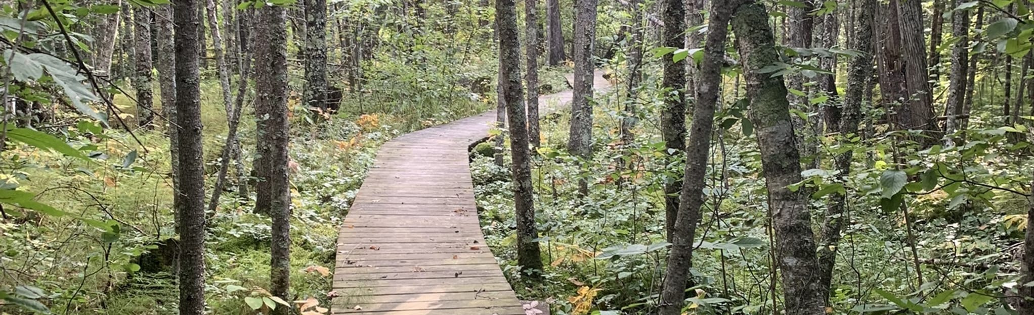 North Country Trail From Scott Bridge, Wisconsin - 15 Reviews, Map ...