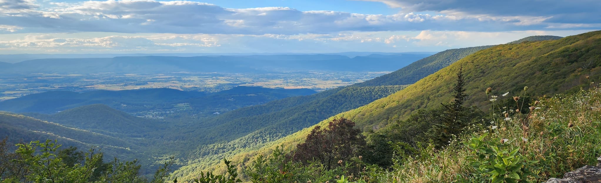 Cedar Run Falls Trail, Virginia - 516 Reviews, Map | AllTrails