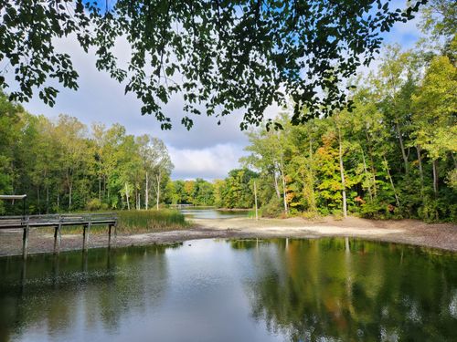 Are Dogs Allowed At Maybury State Park