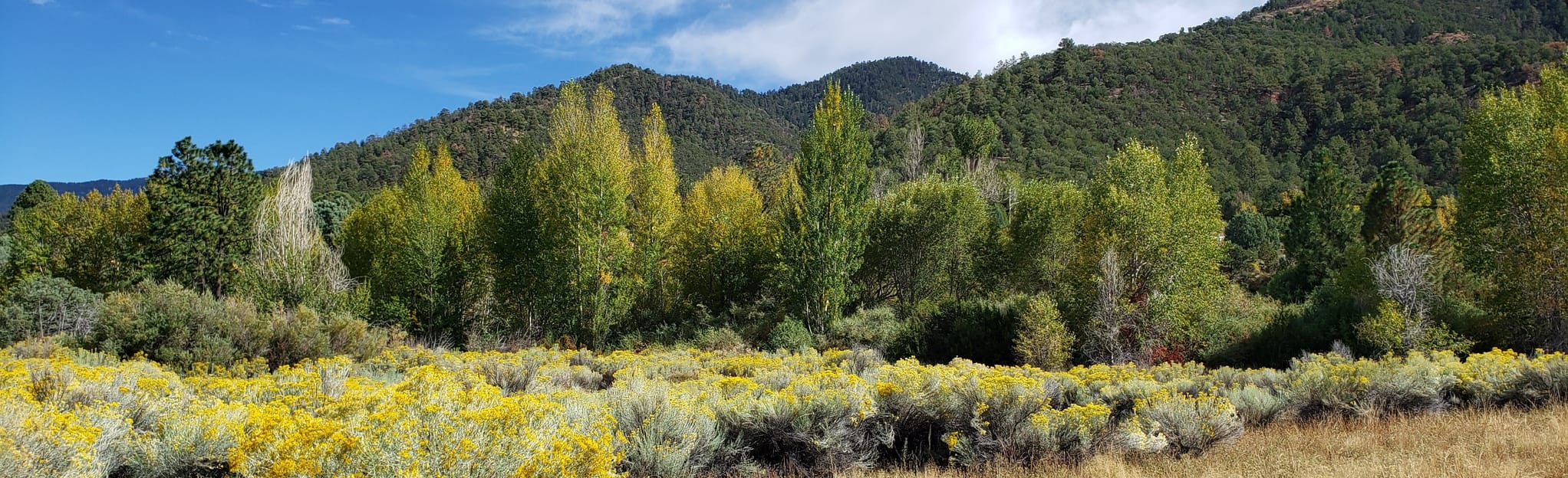 Two Mile Pond Loop: 419 Reviews, Map - New Mexico | AllTrails