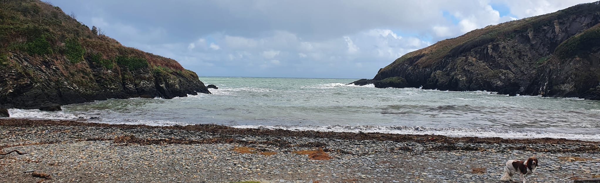 Carn Ingli Circular - Pembrokeshire, Wales | AllTrails