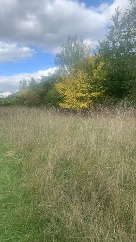Best Hikes and Trails in Heart of England Forest - Haydon Way Wood ...