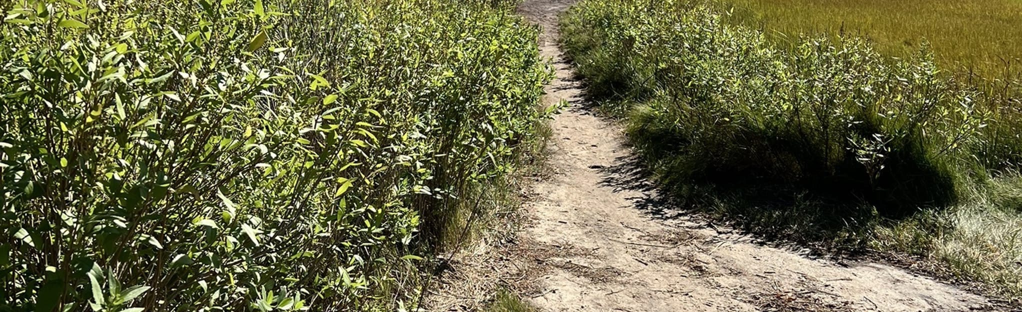 John Wing Trail, Massachusetts - 372 Reviews, Map | AllTrails