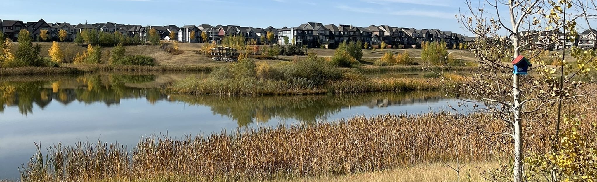 Mahogany Wetland Loop: 28 foto's - Alberta, Canada | Wandelen - AllTrails