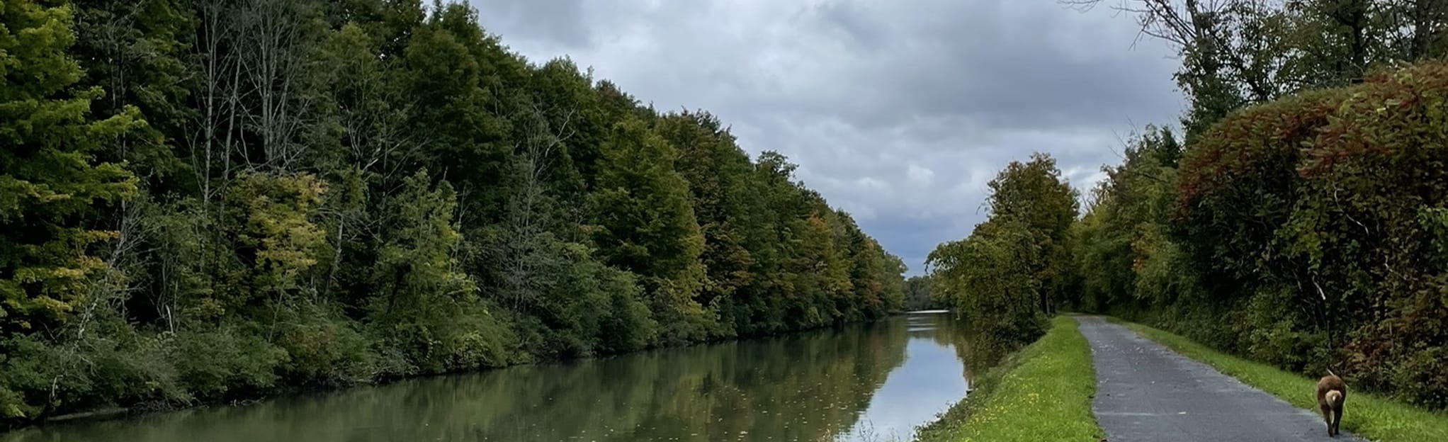 Old Erie Canalway Trail: 188 Reviews, Map - New York | AllTrails
