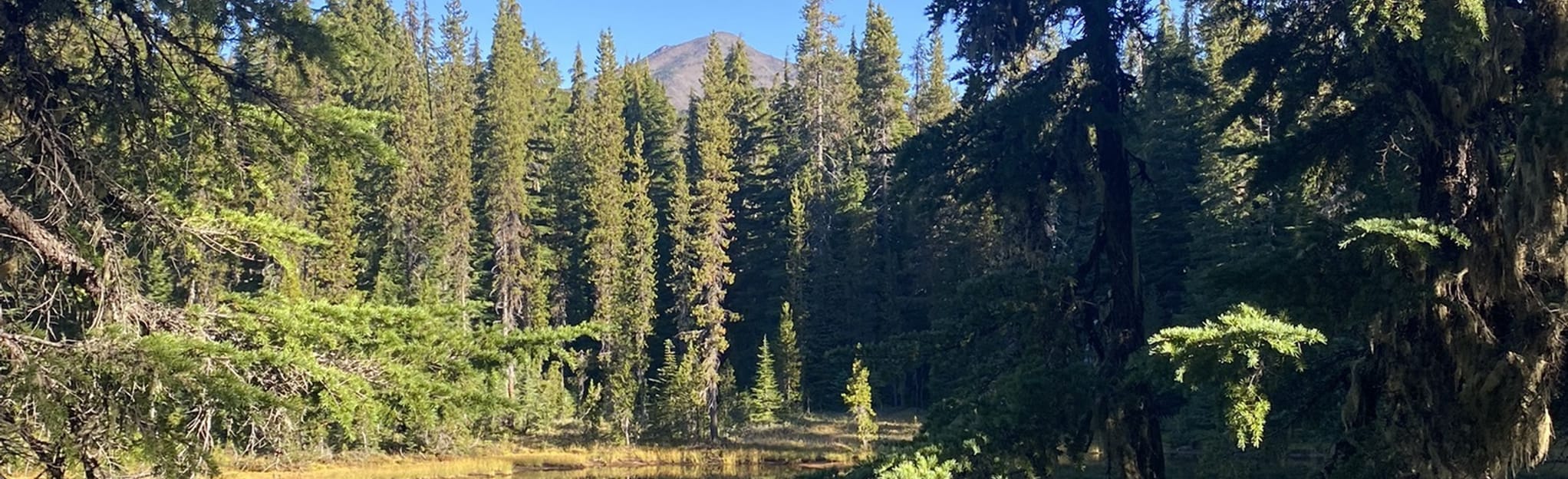 AllTrails | Marie Lake Trail: 11 Reviews, Map - Oregon