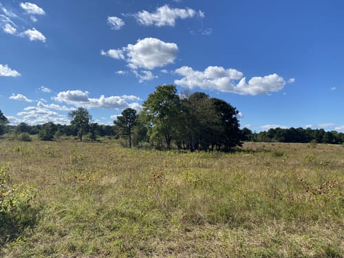 Best Hikes and Trails in Calverton Ponds Preserve | AllTrails