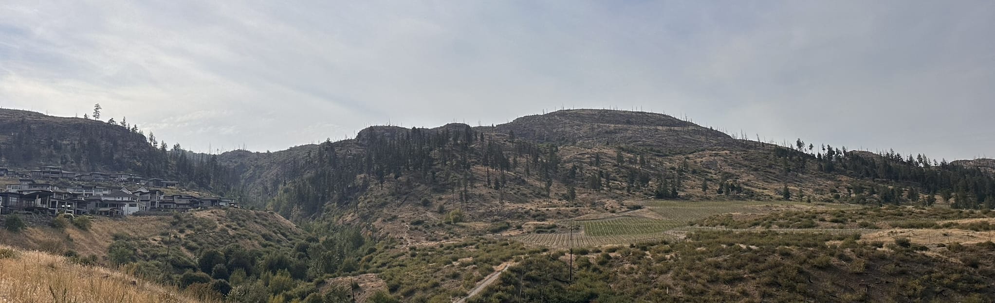 Lebanon Creek urban loop: 6 Reviews, Map - British Columbia, Canada ...