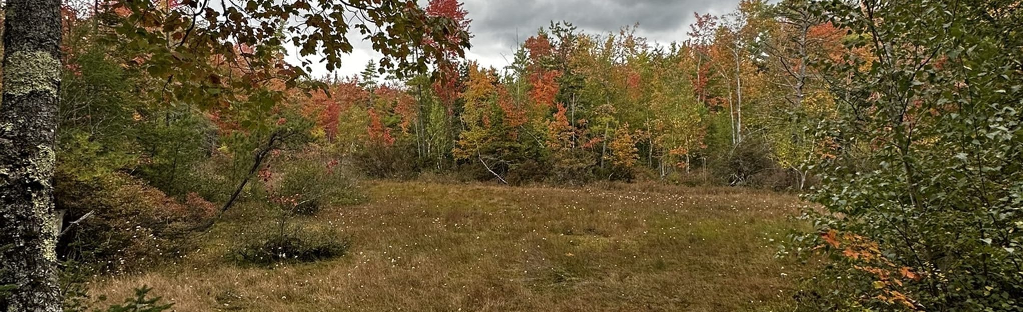 AllTrails | Eastern Trail: 196 Reviews, Map - Maine