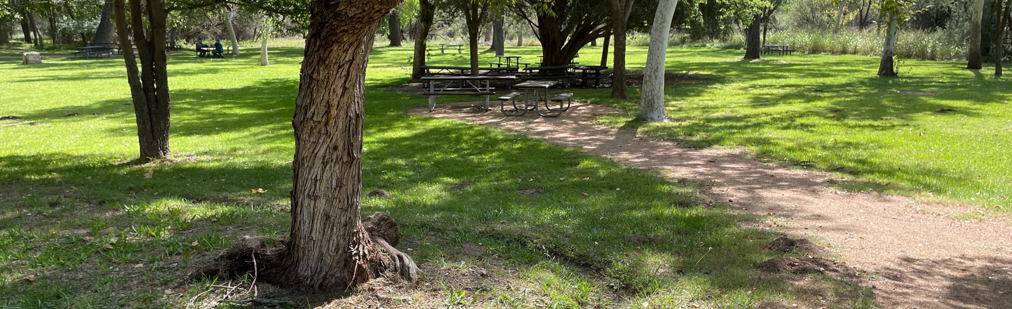 Montezuma Well Pasture Trail: 14 Reviews, Map - Arizona | AllTrails