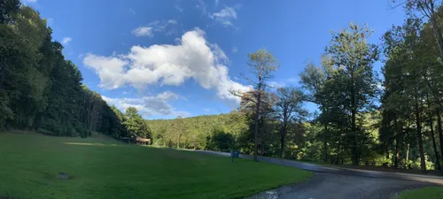 10 Best Hikes and Trails in Cook Forest State Park | AllTrails