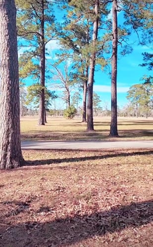 Best Hikes and Trails in Alexander Deussen Park | AllTrails