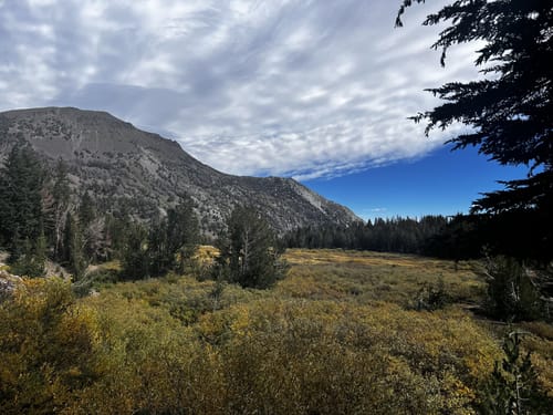 2023 Best Camping Trails in Mount Rose Wilderness | AllTrails