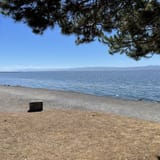 Bay Farm Island Loop Trail, California - 1,021 Reviews, Map | AllTrails