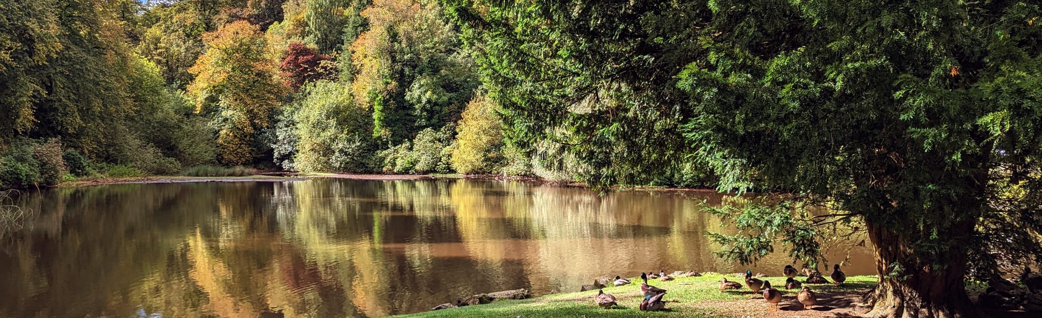 Bold Venture Park and War Memorial, Lancashire, England - 6 Reviews ...