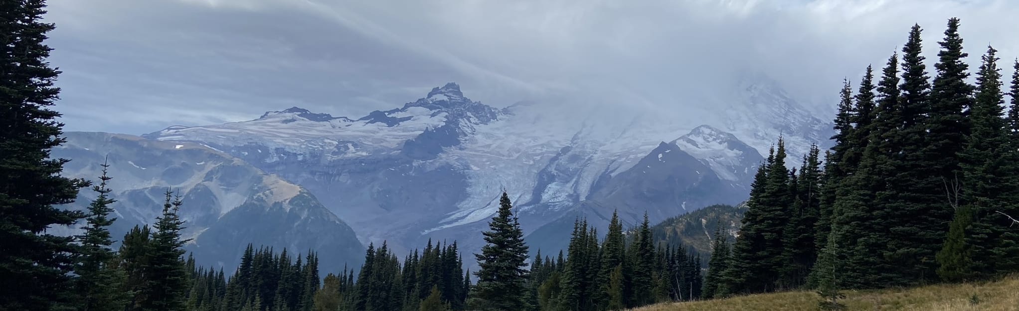 Mount Rainier Northern Loop Trail: 105 Reviews, Map - Washington ...