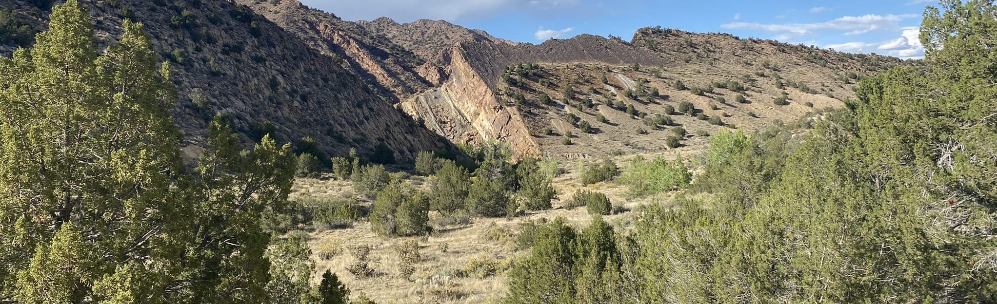 Hard Time Trail, Colorado - 96 Reviews, Map | AllTrails