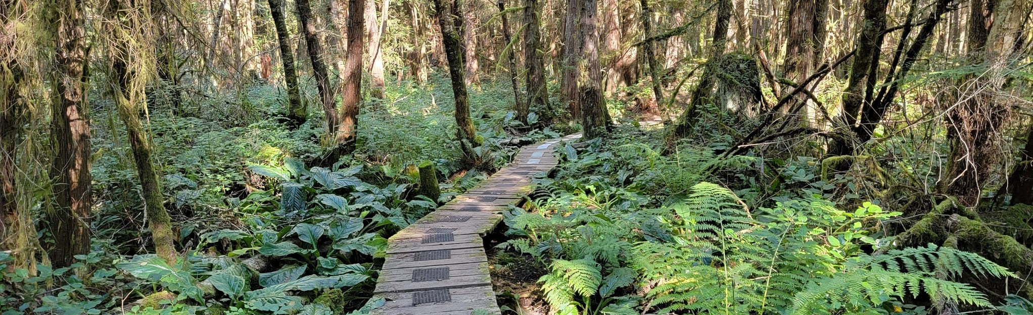 Haslam Lake Trail: 11 Fotos - British Columbia, Kanada | AllTrails