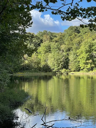 Best Hikes and Trails in Ferdinand State Forest | AllTrails