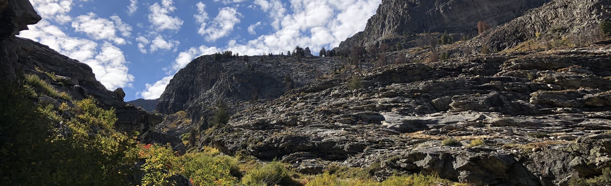 Griswold Lake via Ruby Dome Trail, Nevada - 74 Reviews, Map | AllTrails