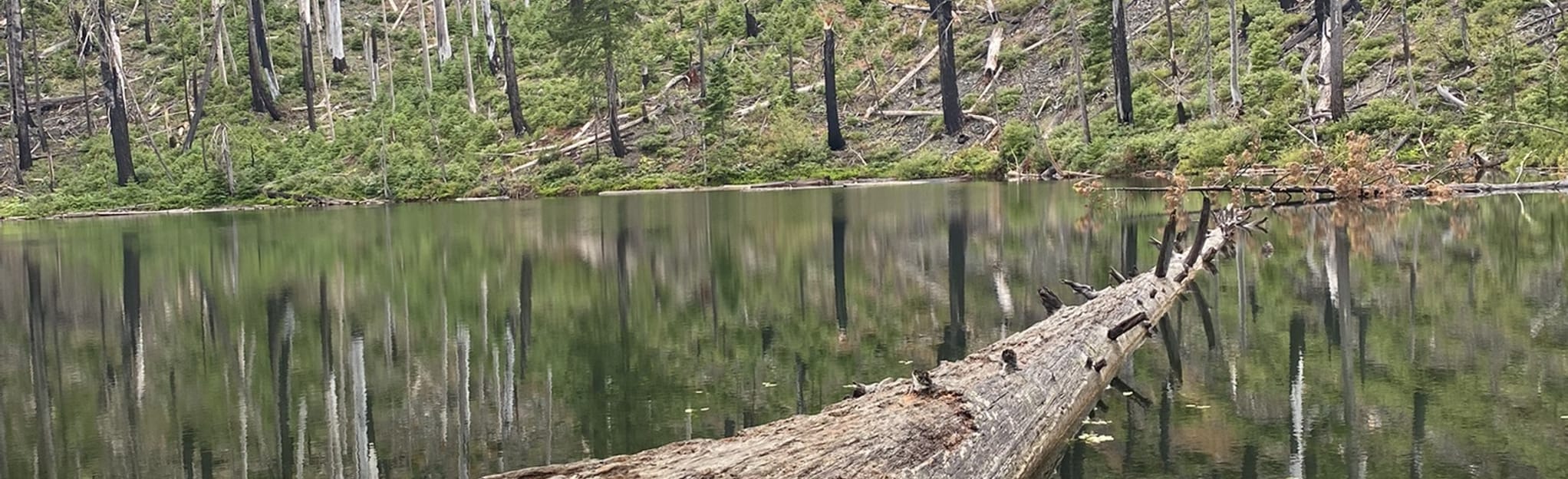 Babyfoot Lake Rim Trail to Kalmiopsis Rim Trail: 35 Reviews, Map ...