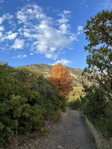 10 Best Hikes and Trails in Corner Canyon Regional Park | AllTrails