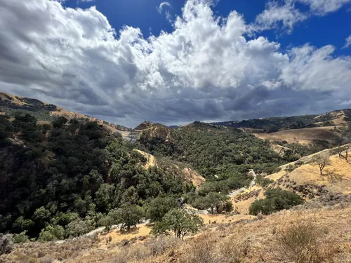 10 Best Hikes and Trails in Sunol Wilderness Regional Preserve | AllTrails